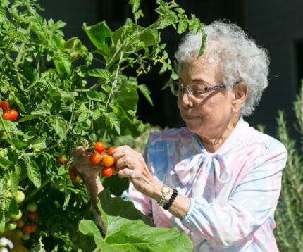 Seattle Retirement Communities | Independent & Assisted Living | Era Living