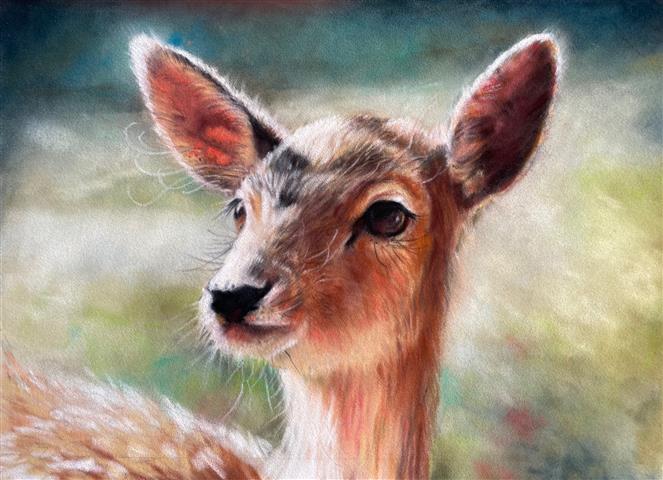 Art Show Opening Gala: Northwest Watercolor Society | Era Living
